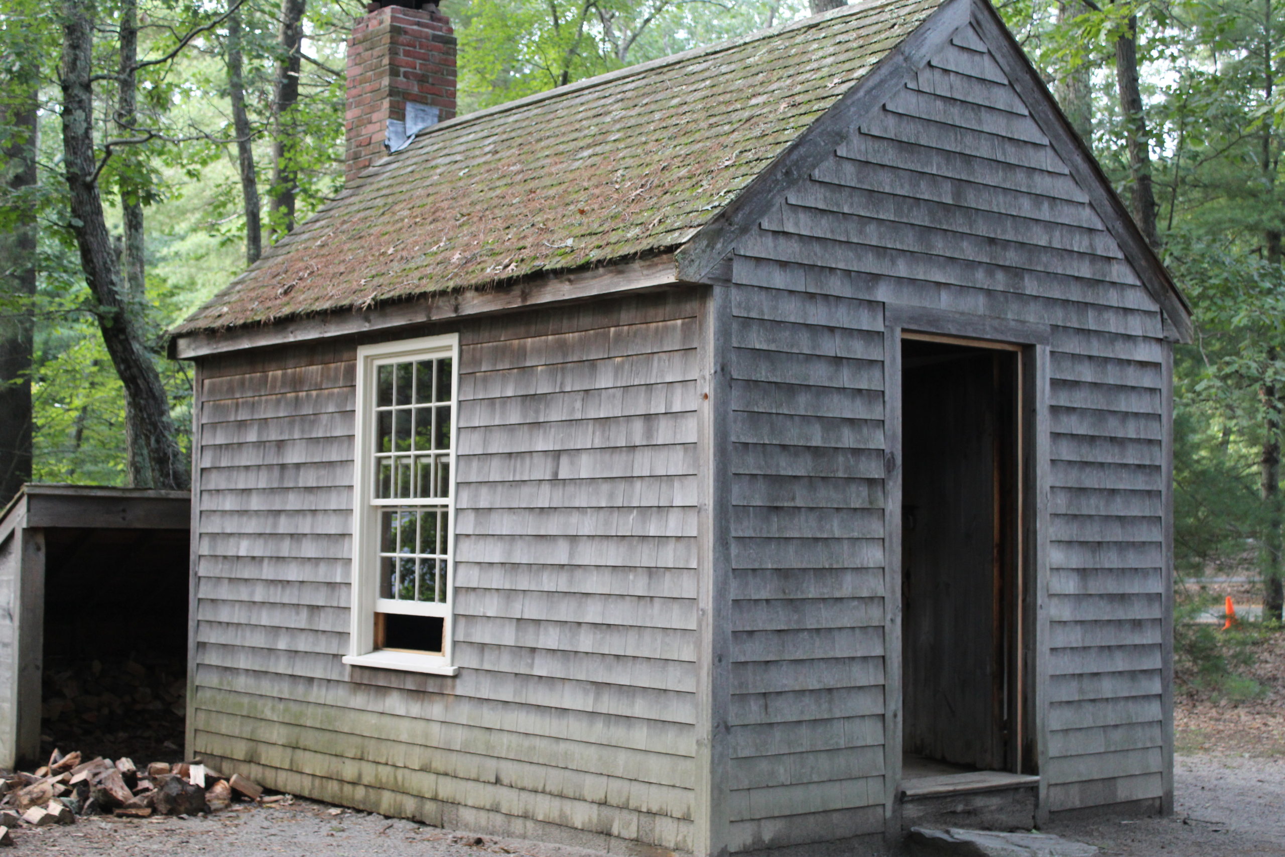 Experiments in Simplicity - Henry David Thoreau - Insisting Simplicity